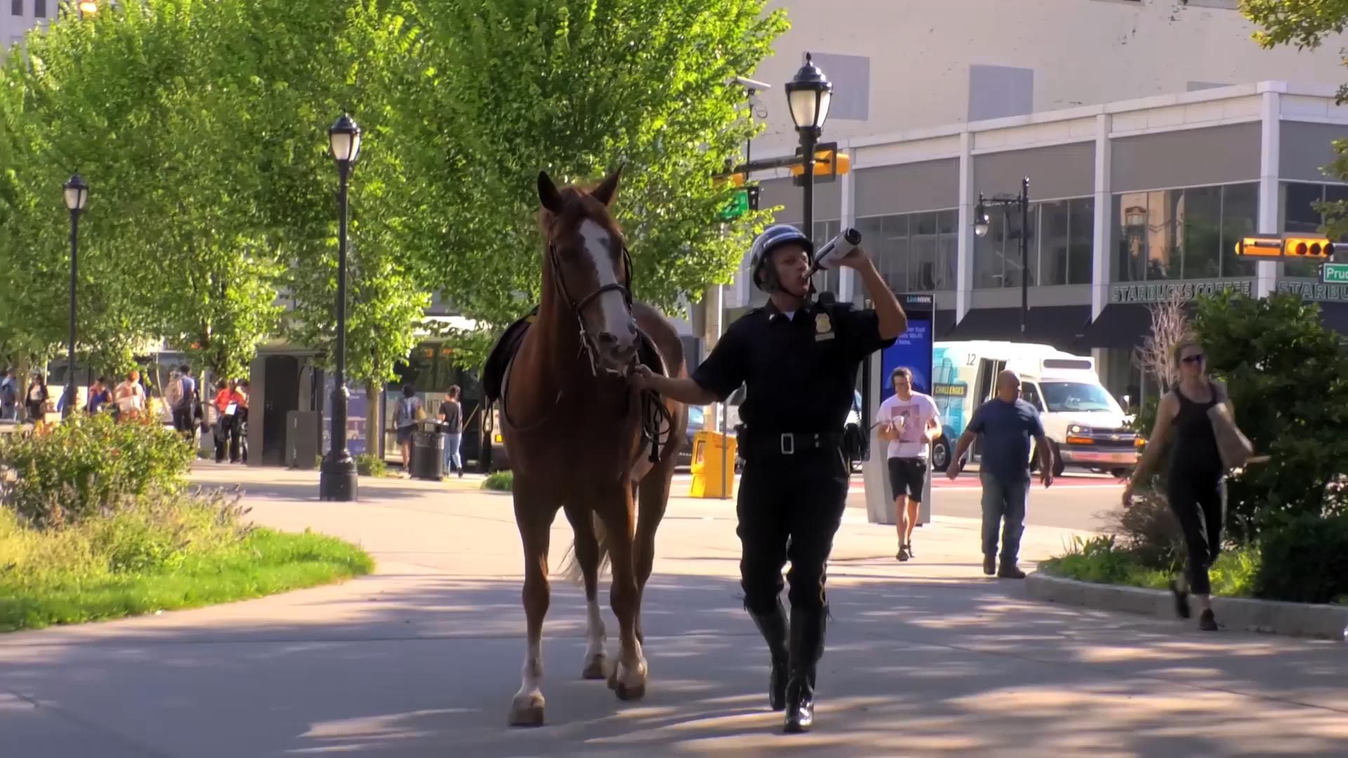 Horse Cop - S5 EP6 - The Eric Andre Show